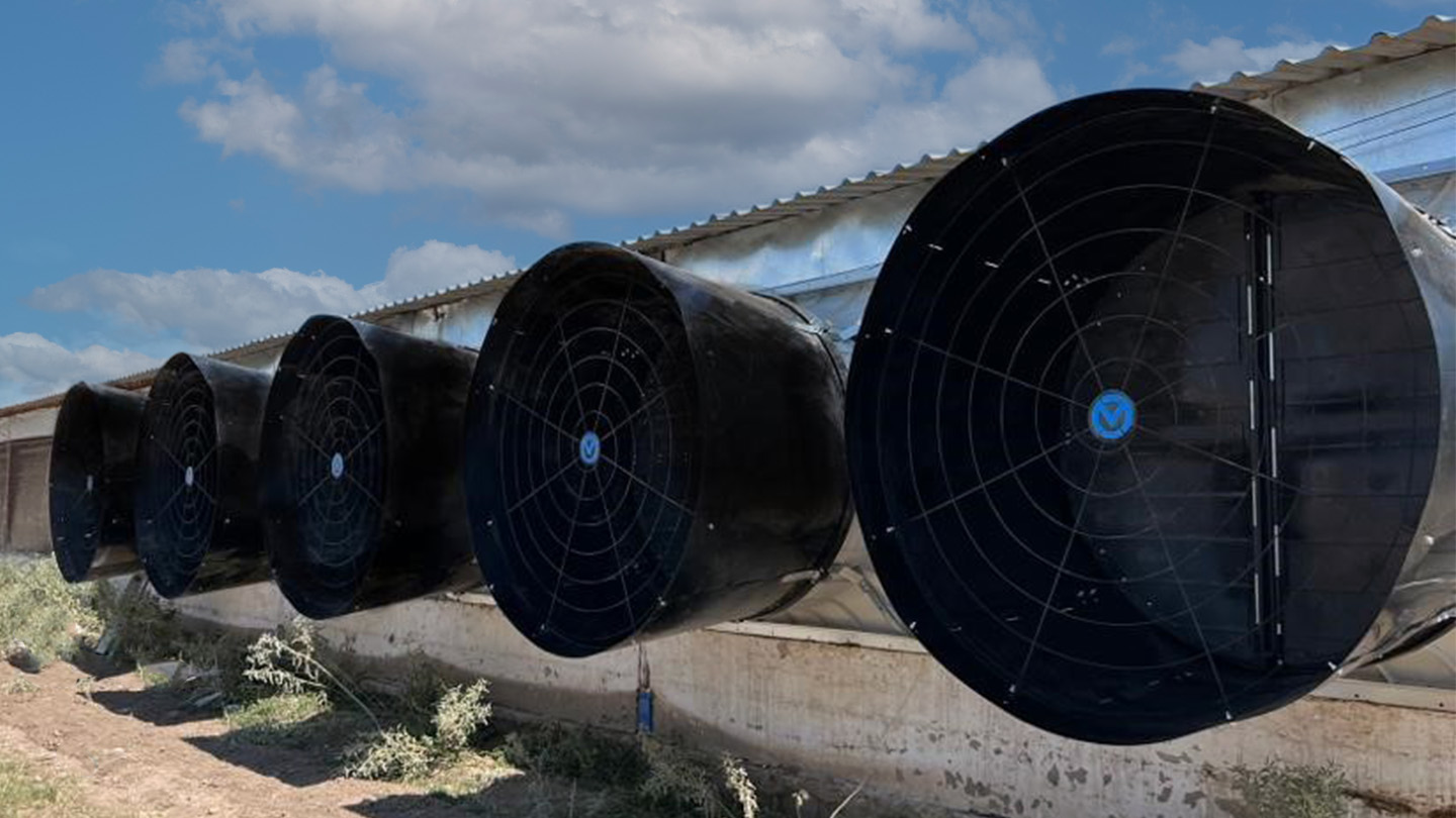 Ventilation systems for pig barns