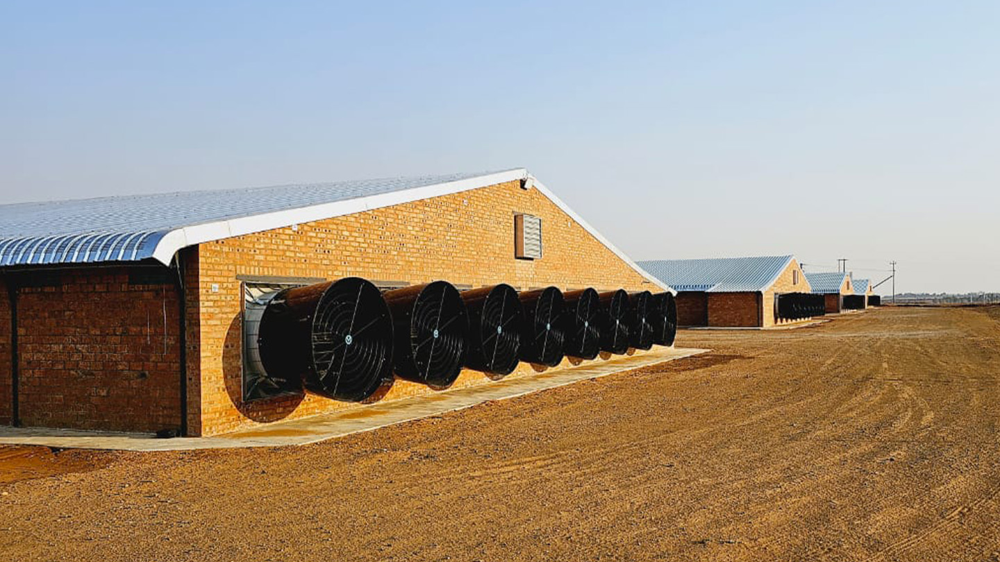 Complete climate control solutions for broilers and layers