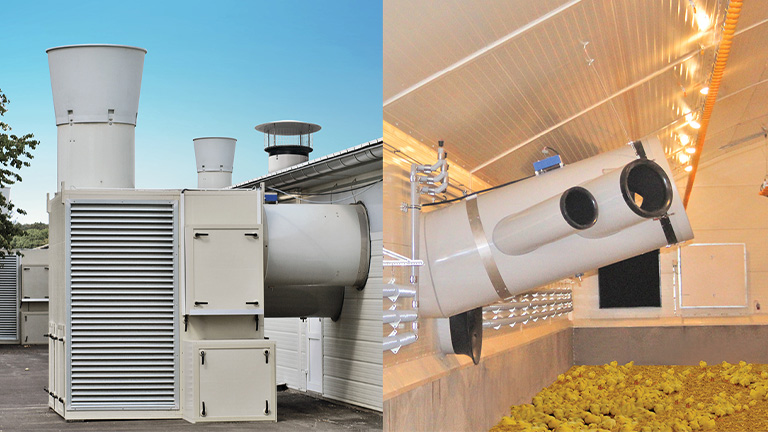 Efficient heating solutions for poultry houses
